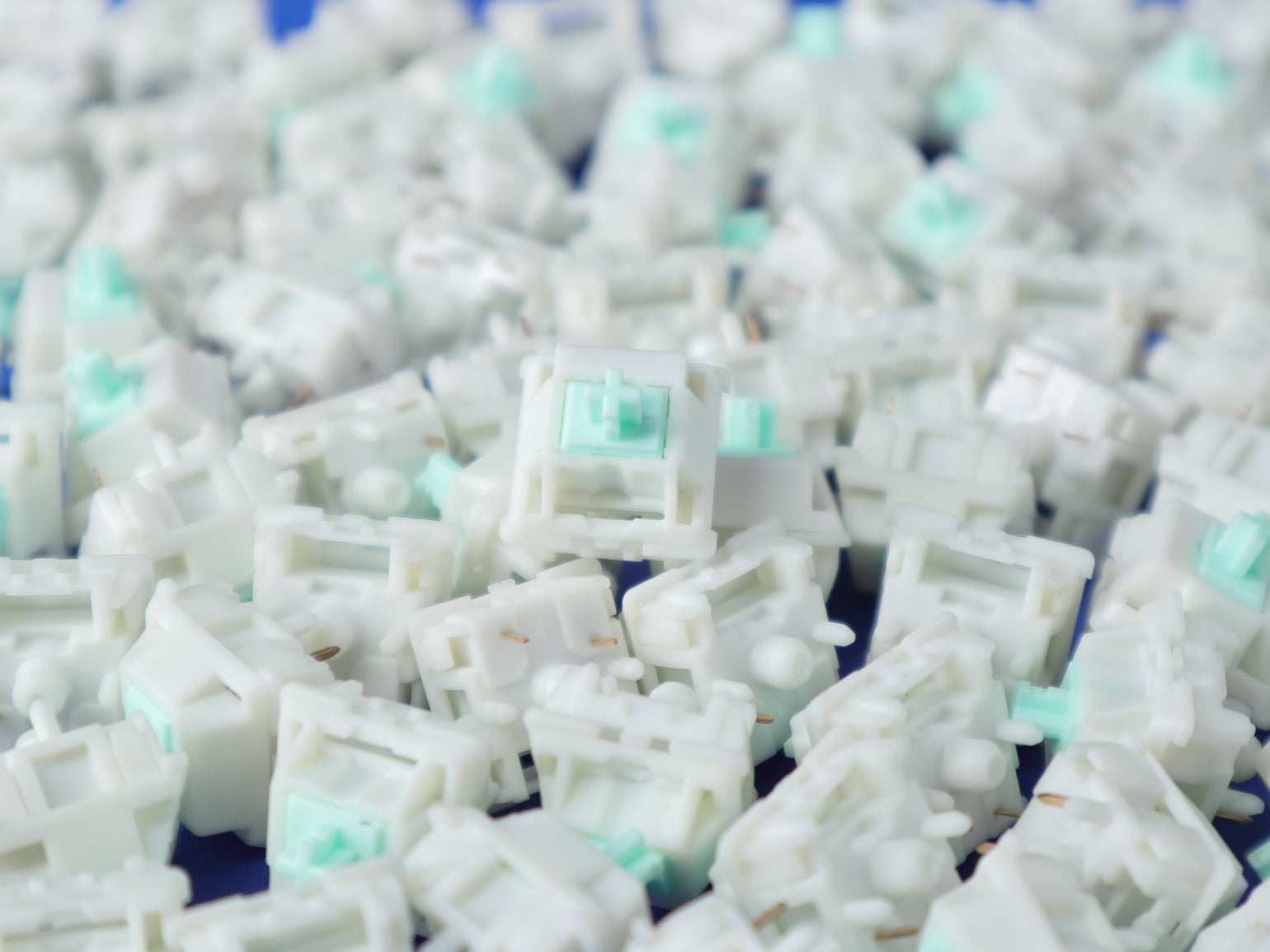 New Arrivals – pantheonkeys